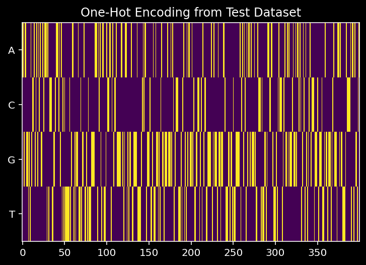 BPNet - 02 Dataset and NN Architecture API