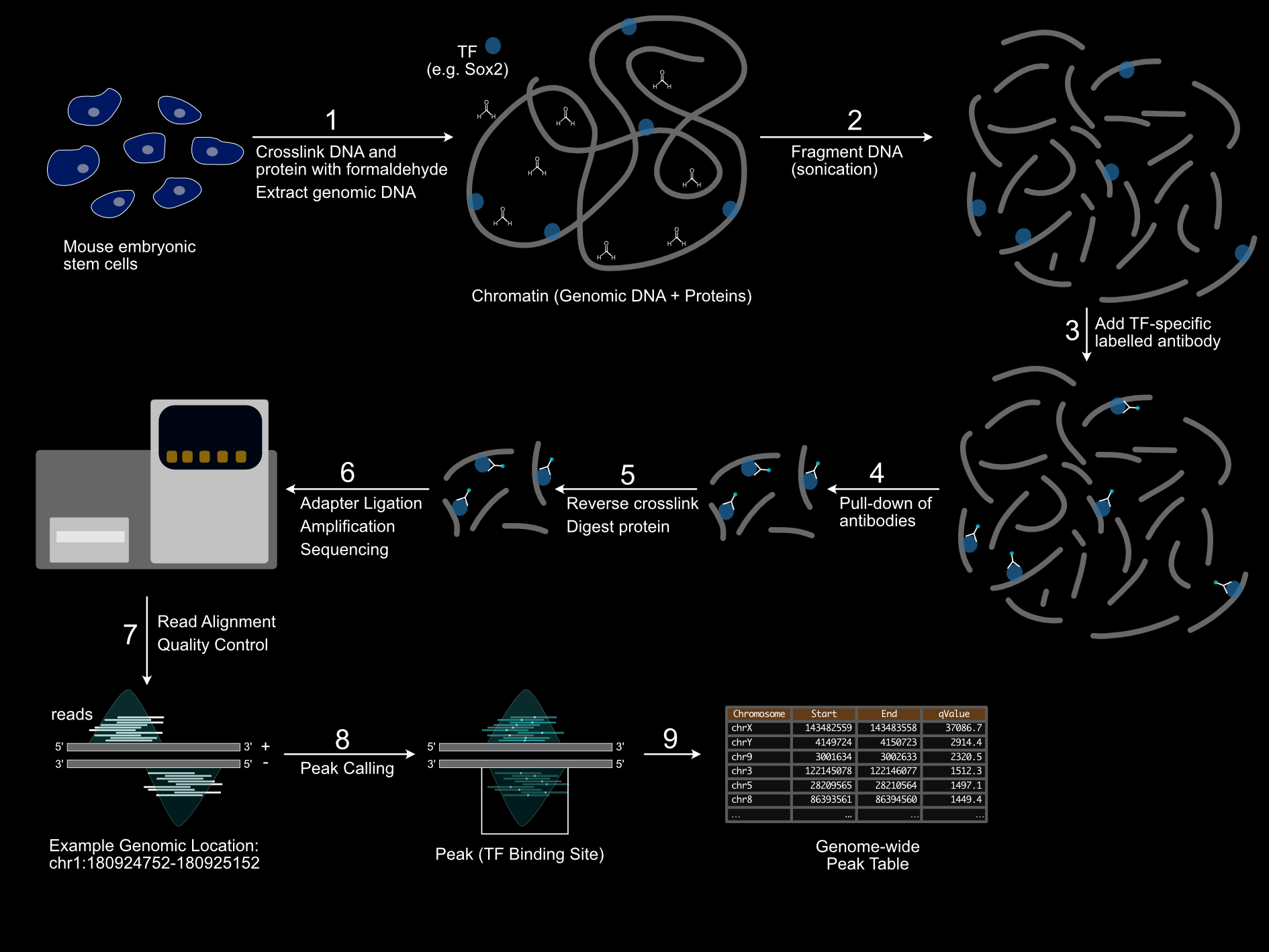 BPNet - 00 Introduction