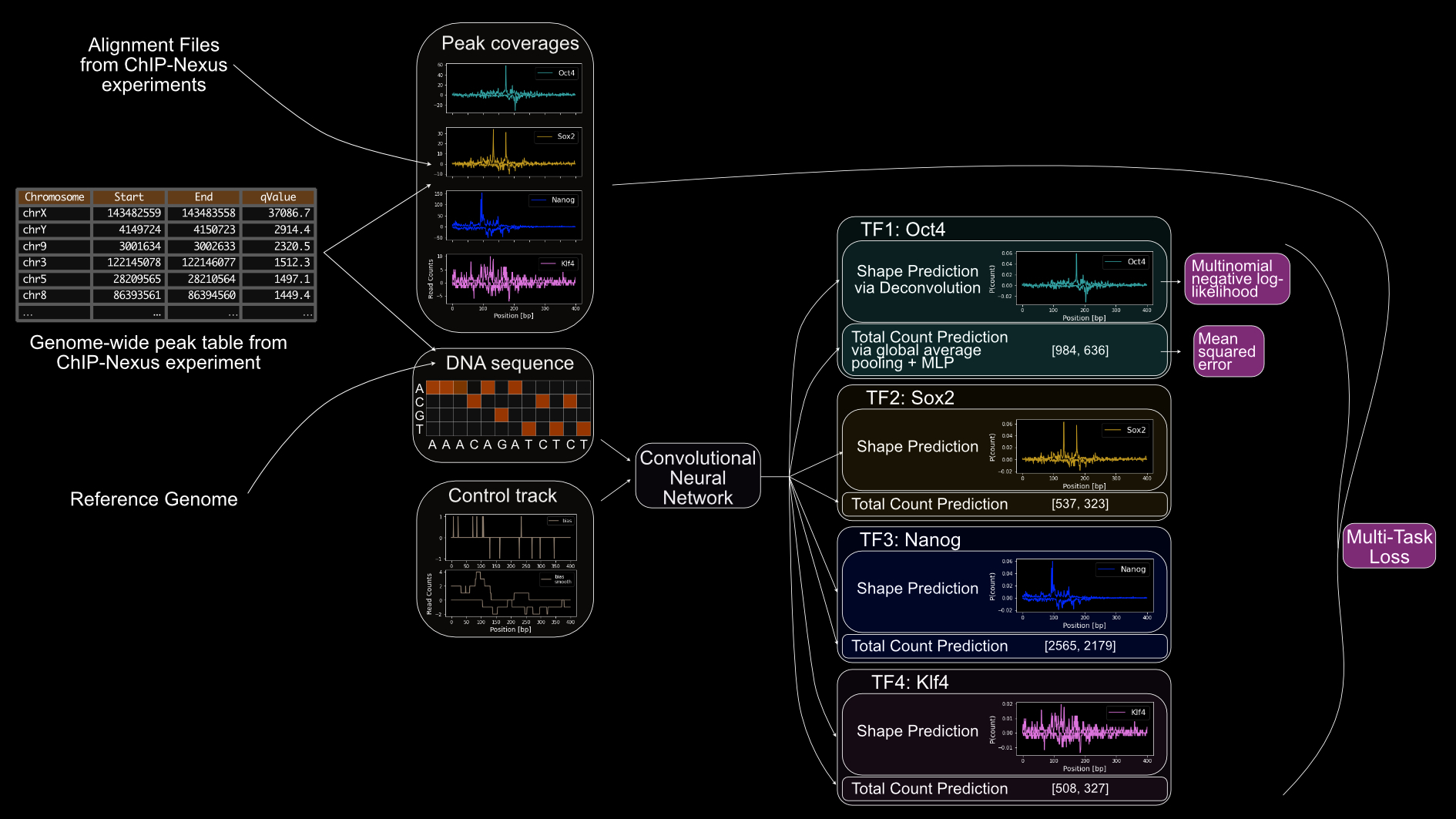 BPNet - 00 Introduction